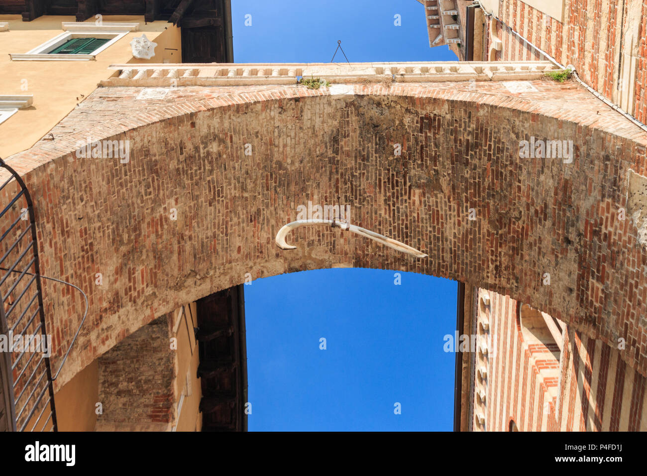 Rib arch hi-res stock photography and images - Alamy