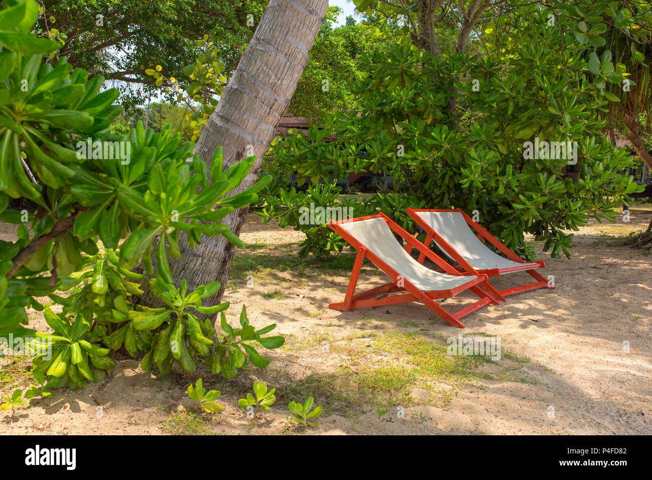 Beach chairs in the shadow on the beach Stock Photo - Alamy