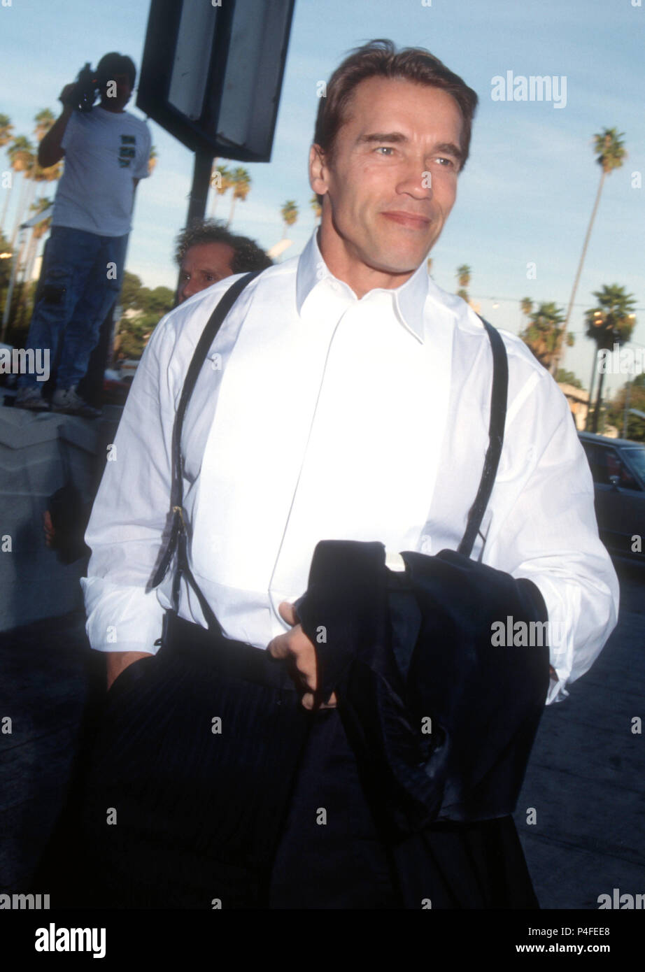 HOLLYWOOD, CA - NOVEMBER 24: Actor Arnold Schwarzenegger attends Walt ...