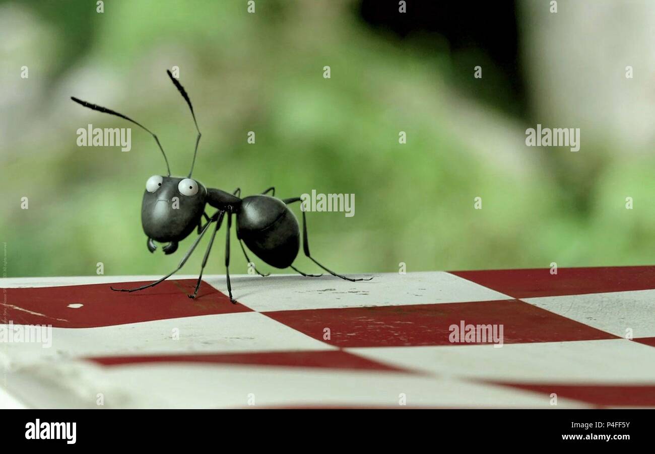 Minuscule Valley Of The Lost Ants Wallpapers