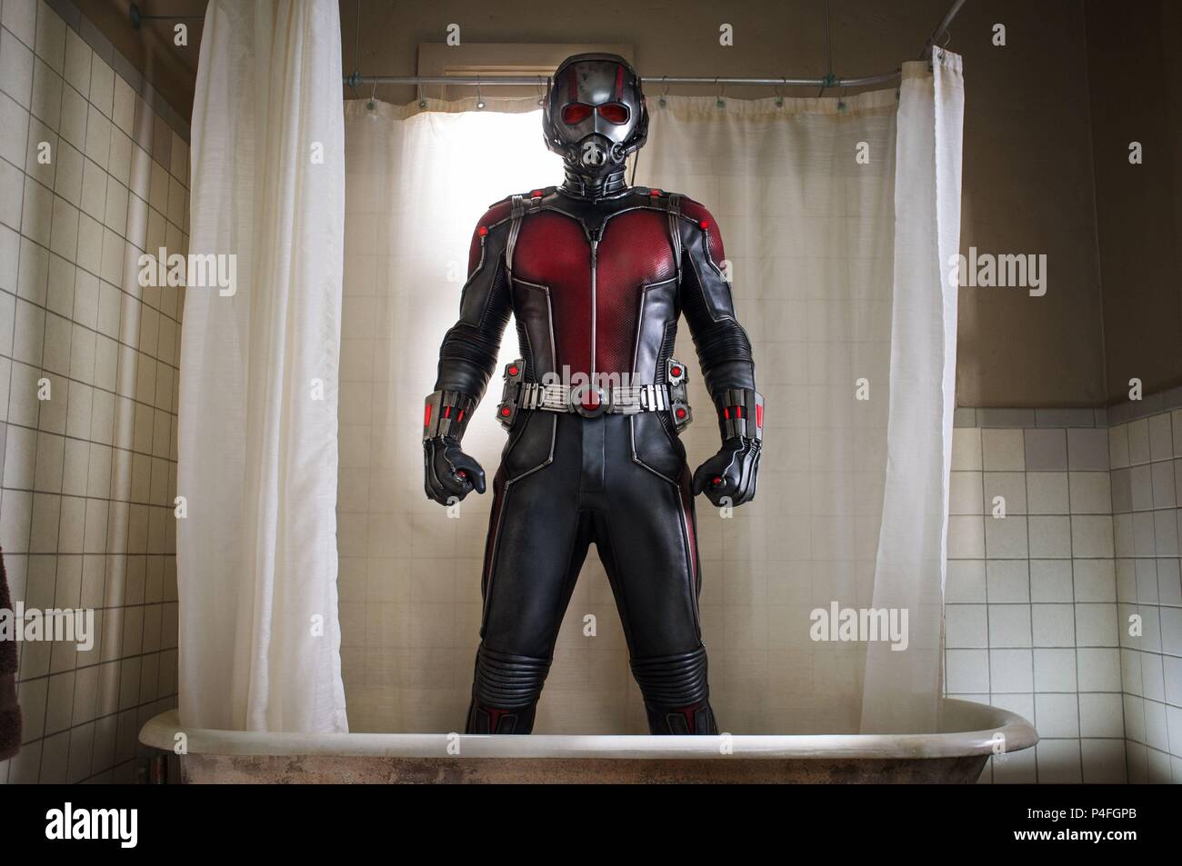 Original Film Title: ANT-MAN. English Title: ANT-MAN. Film Director: PEYTON REED. Year: 2015 ...