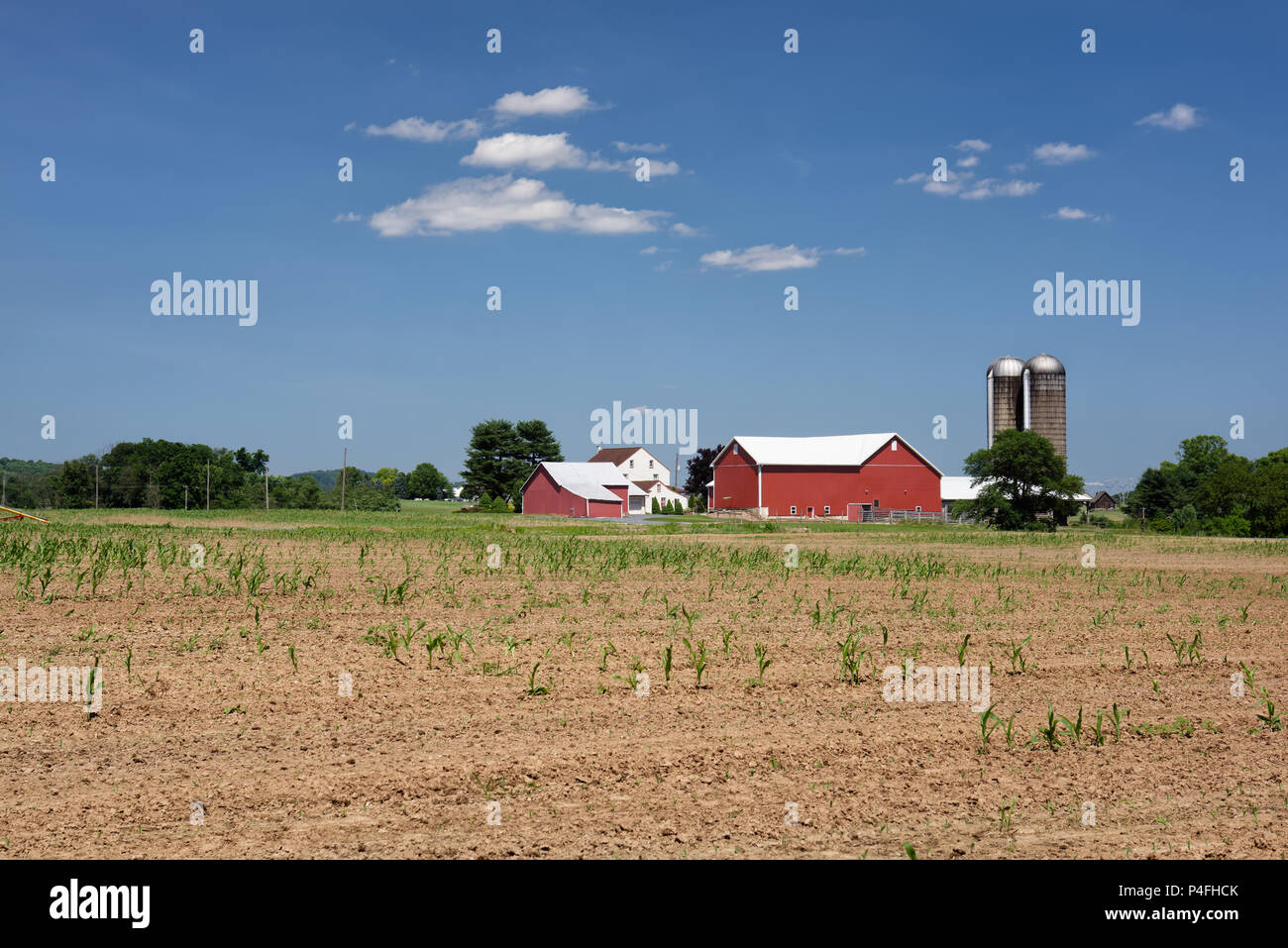Crop Failure Stock Photos & Crop Failure Stock Images - Alamy