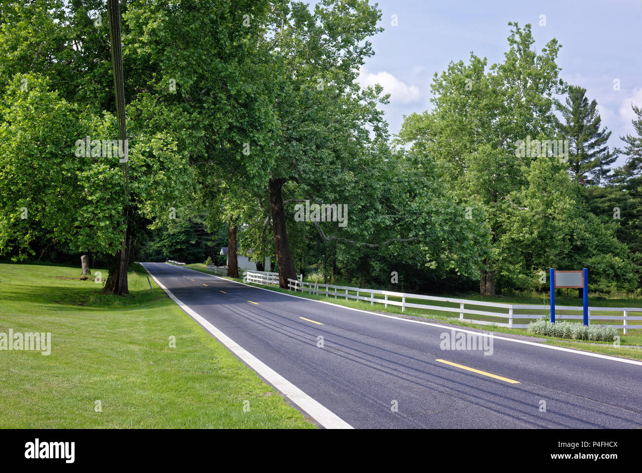 Country road disappearing into tall leafy trees for a scenic summer ...