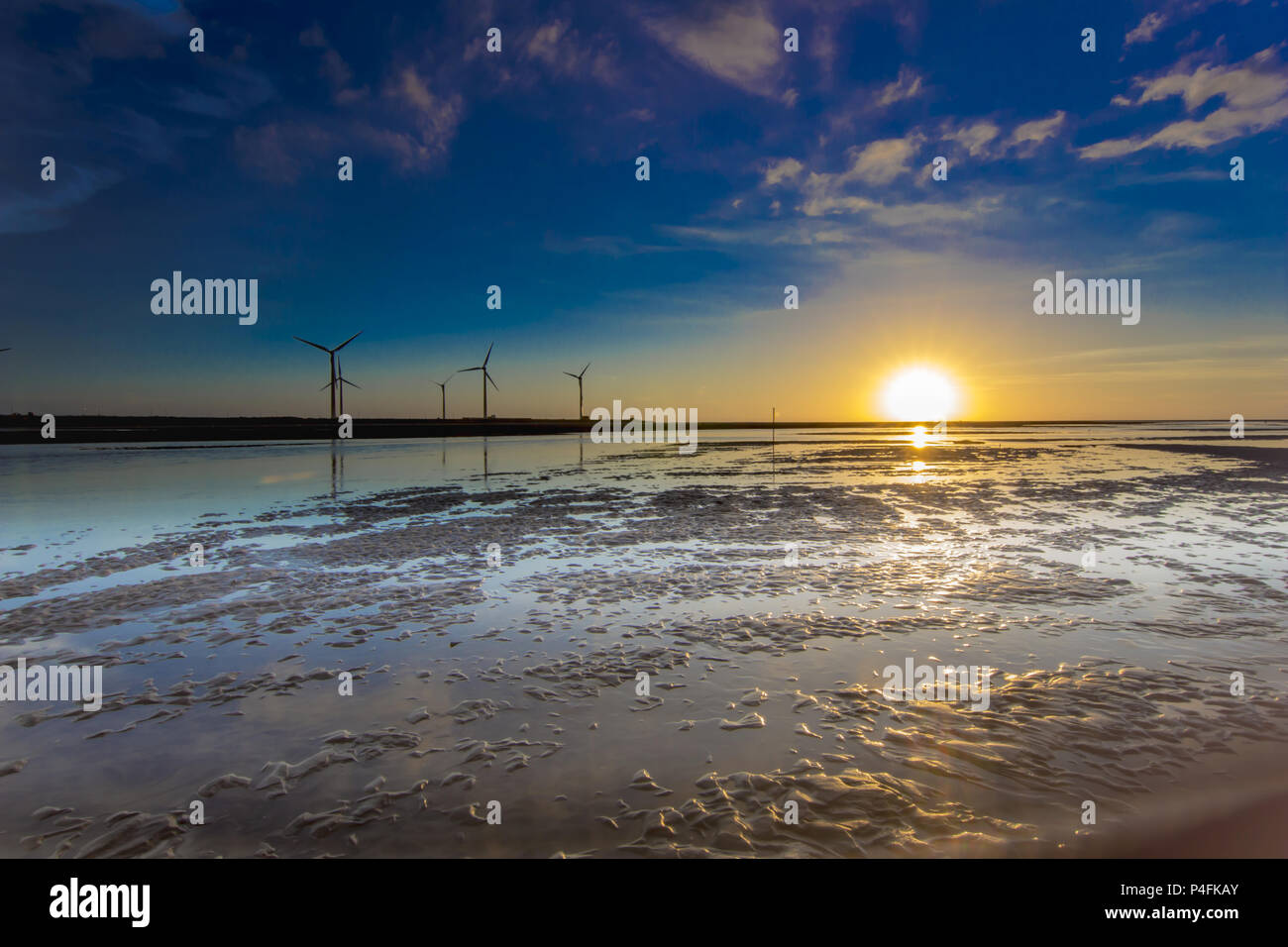 Gaomei wetlands wildlife refuge hi-res stock photography and images - Alamy