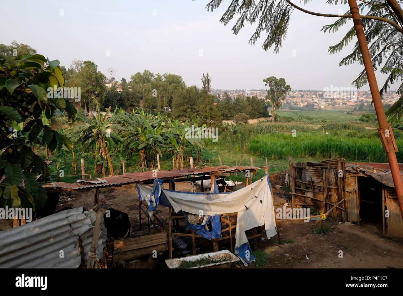 Rwanda, Kigali, daily life Stock Photo - Alamy