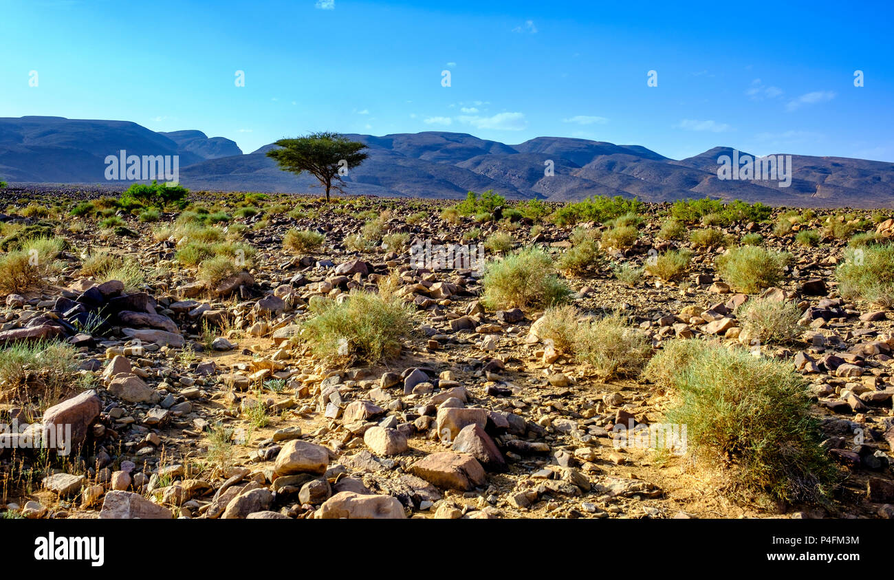 Iriki National Park High Resolution Stock Photography and Images - Alamy