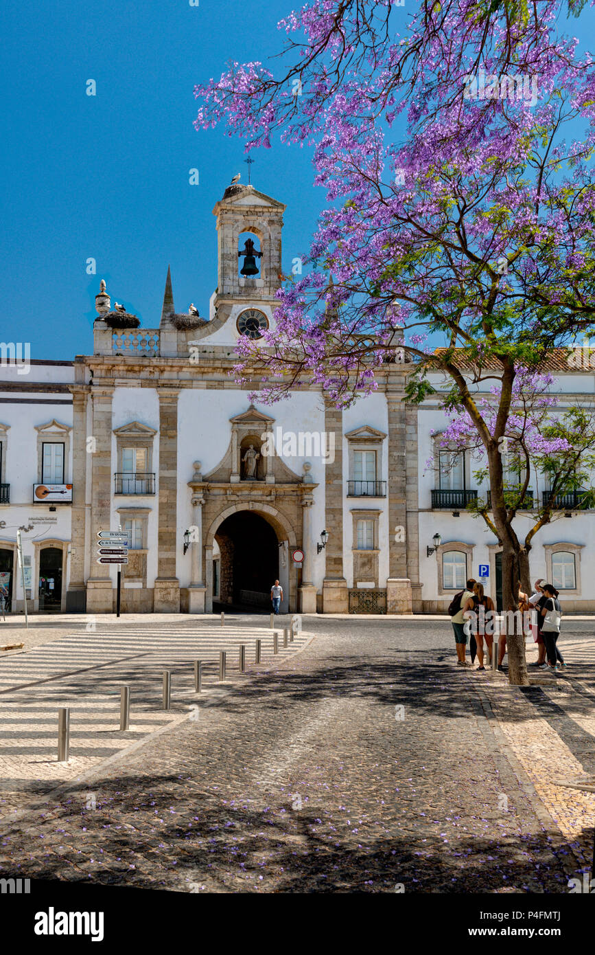Stork nests in faro hi-res stock photography and images - Alamy