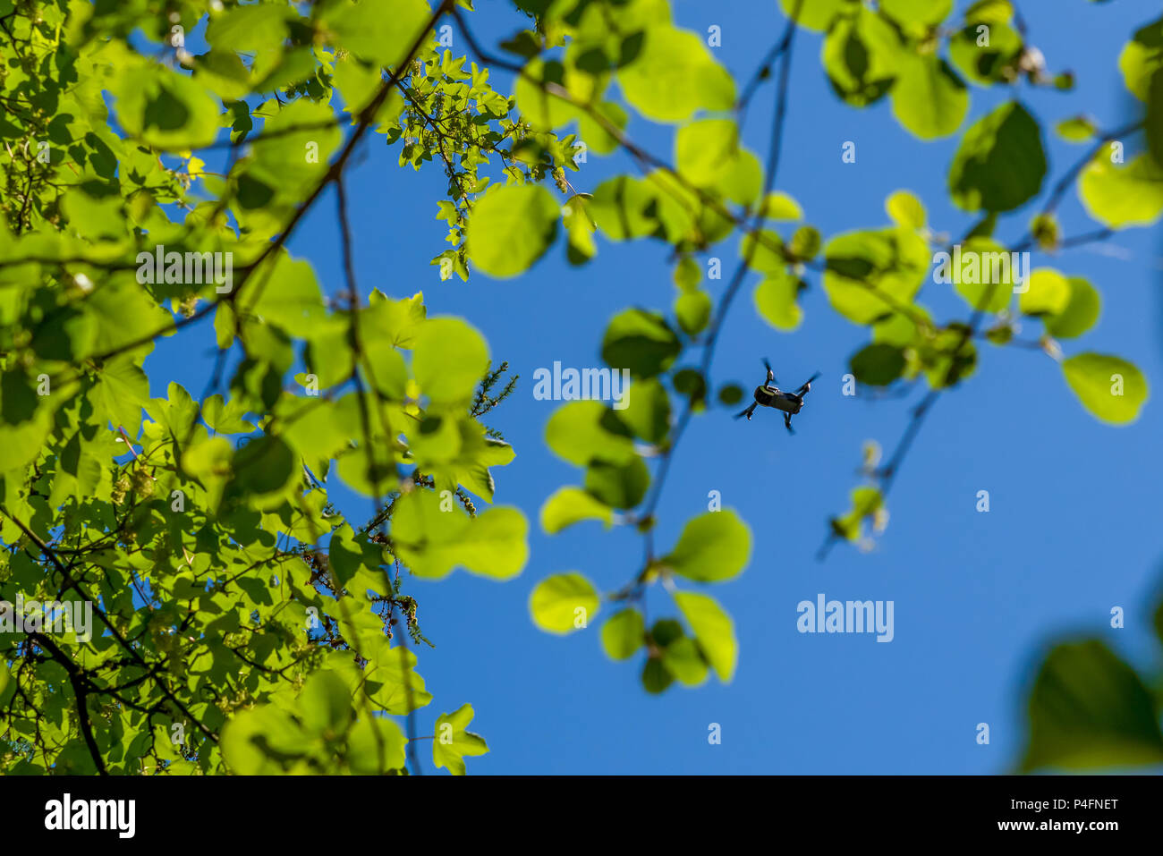 Aircraft flying over forest hi-res stock photography and images - Alamy