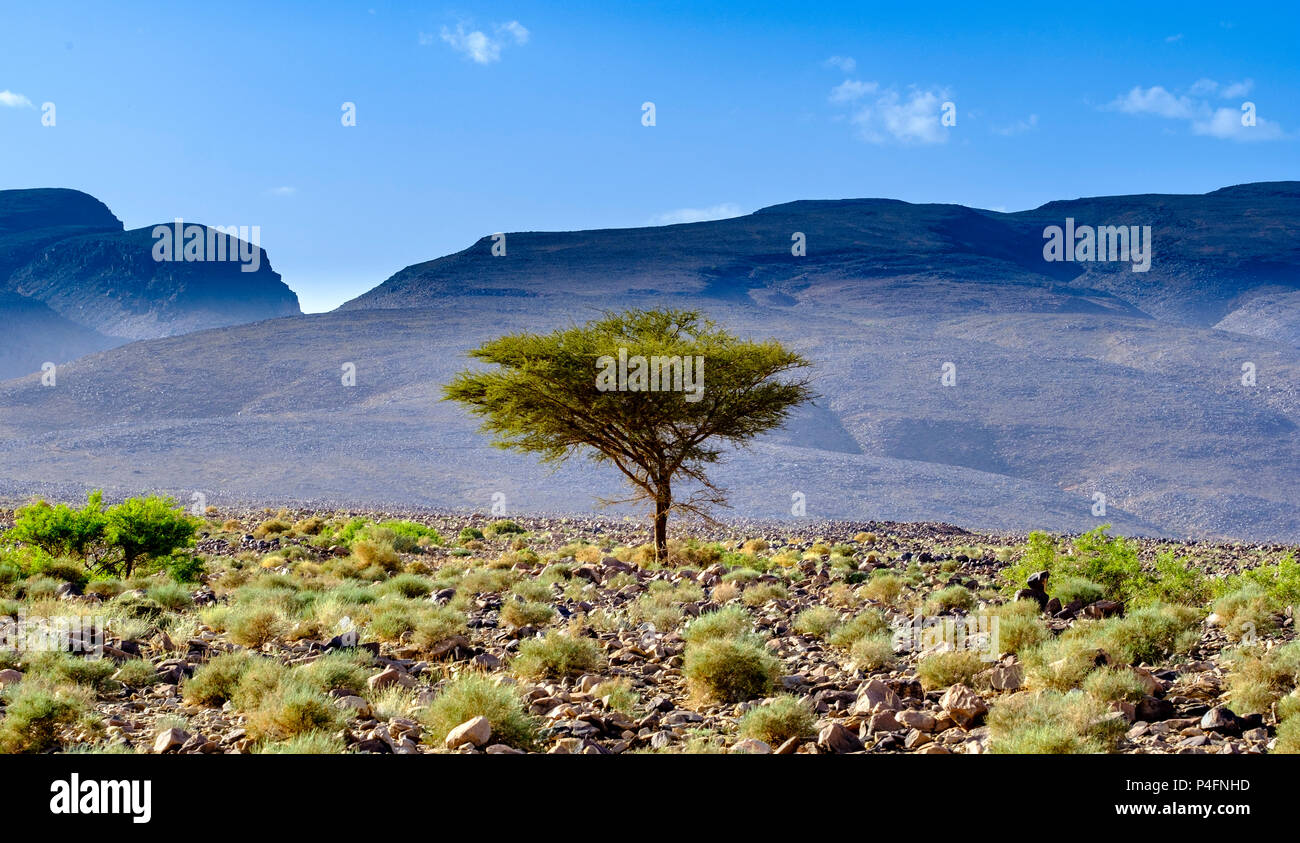 Looking towards the Iriki National Park, near Tazzarine, Morocco Stock ...