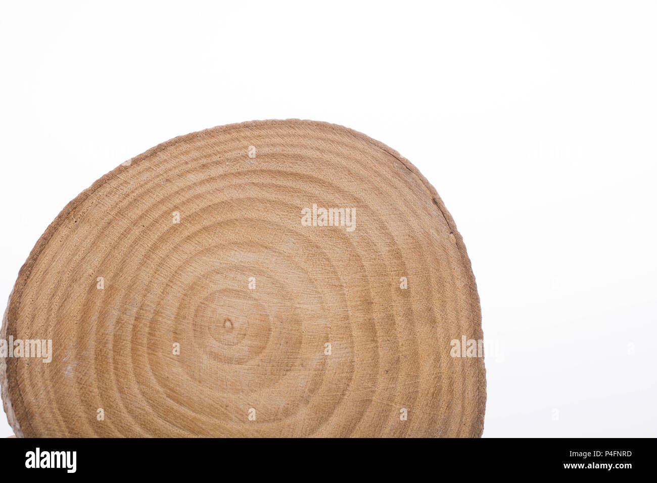 Wood Log cut in round thin pieces on a white background Stock Photo - Alamy