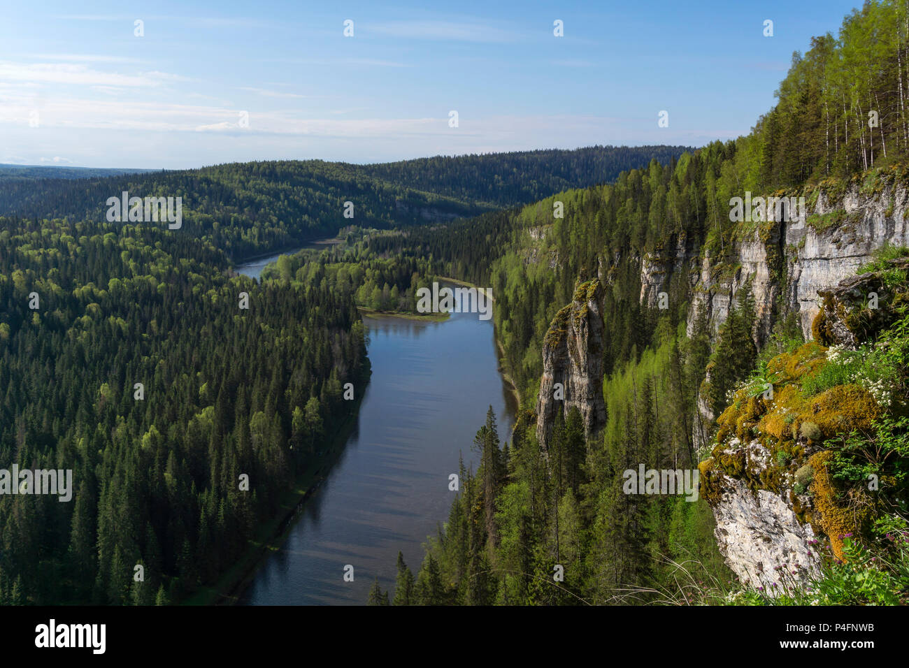 Landscape - wooded canyon of the northern river with rocks, a top view ...