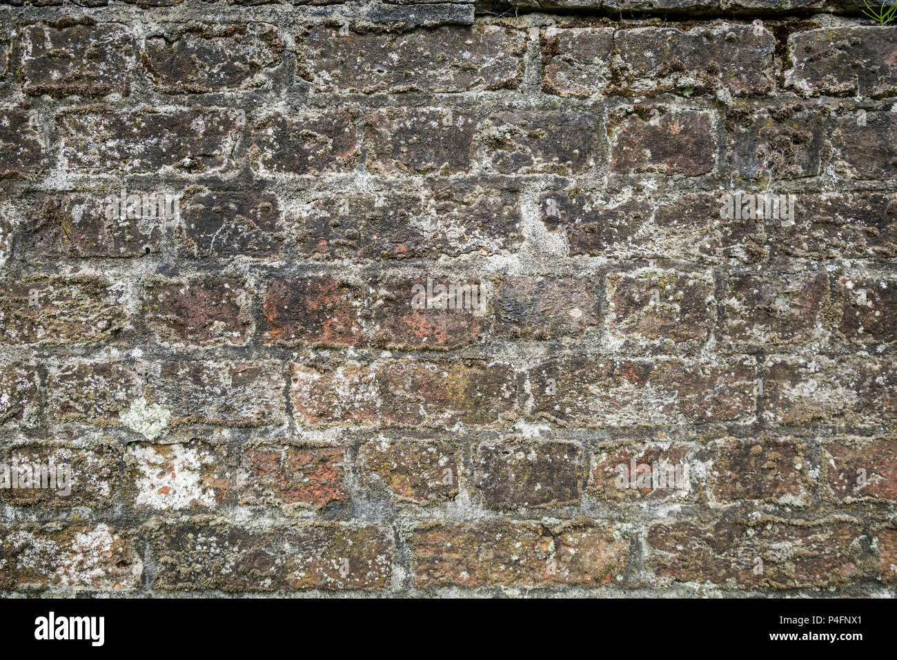 Brick wall background with grunge and dirt texture Stock Photo - Alamy