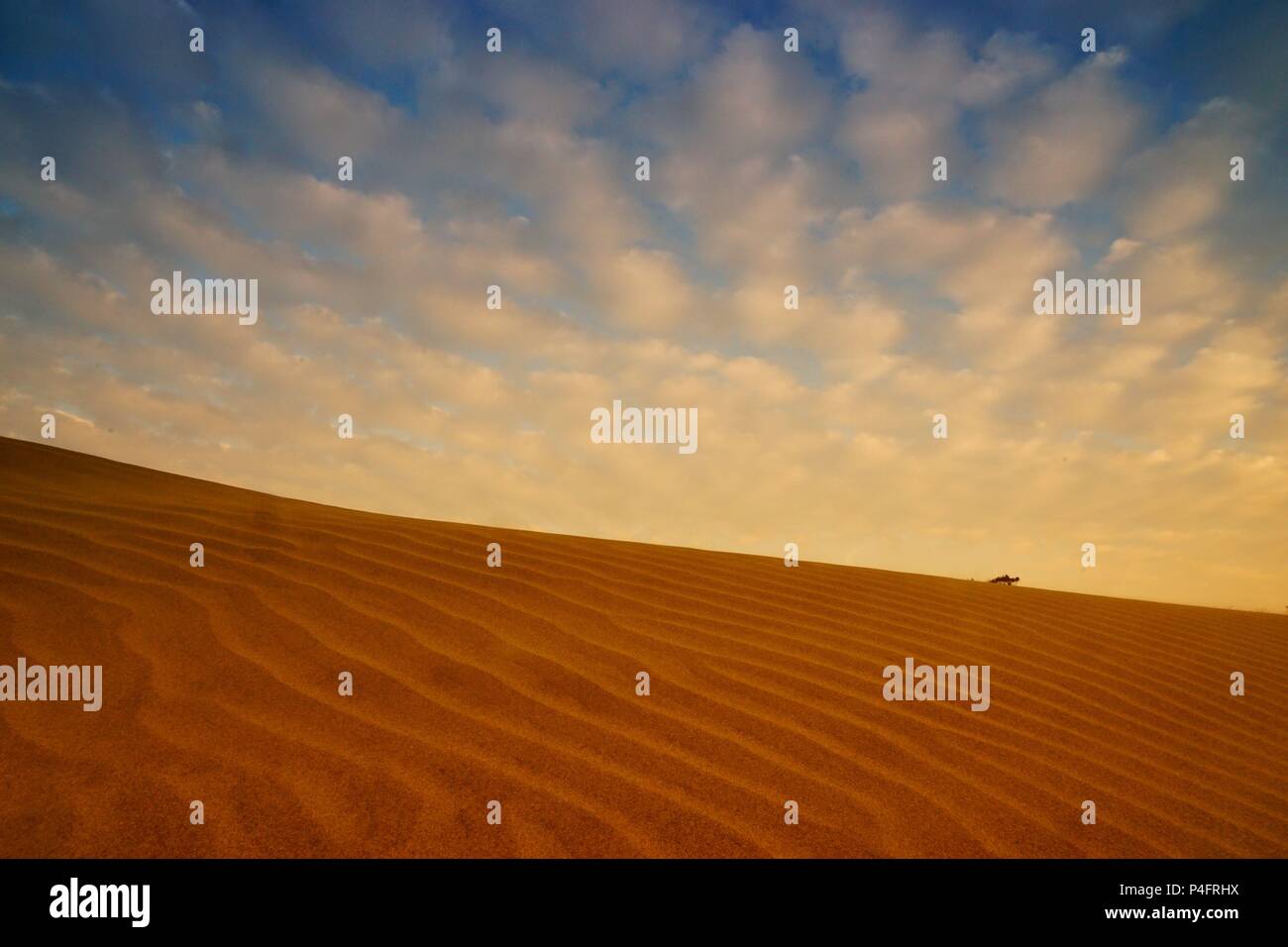 desert with cloudy sky like Dune Stock Photo - Alamy