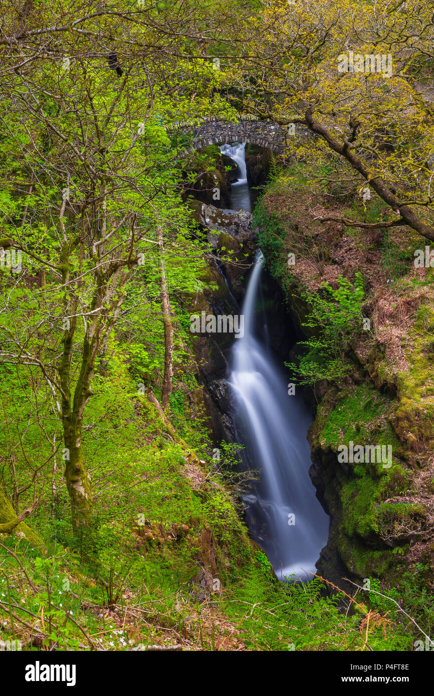 Aira Force Waterfall, Lake District, Cumbria, England United Kingdom ...