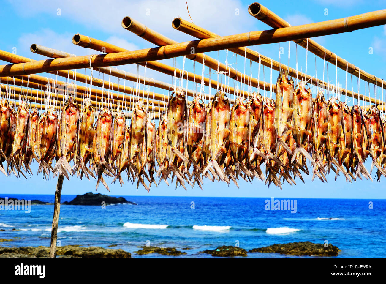 drying the fish Stock Photo - Alamy