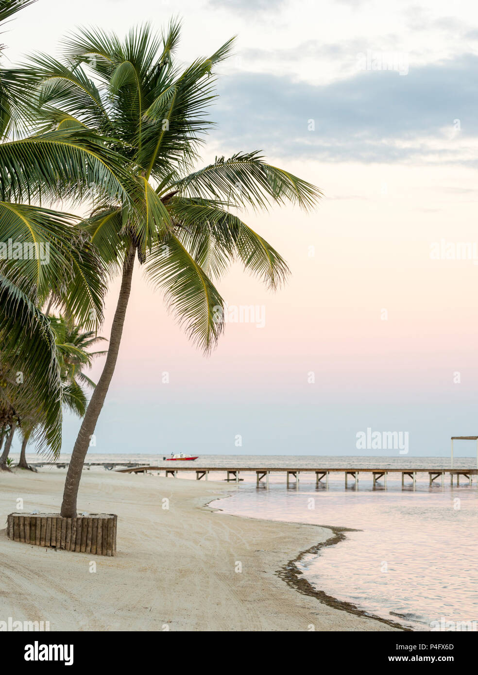 Tropical beach solitude with palmtrees on the coast Stock Photo - Alamy