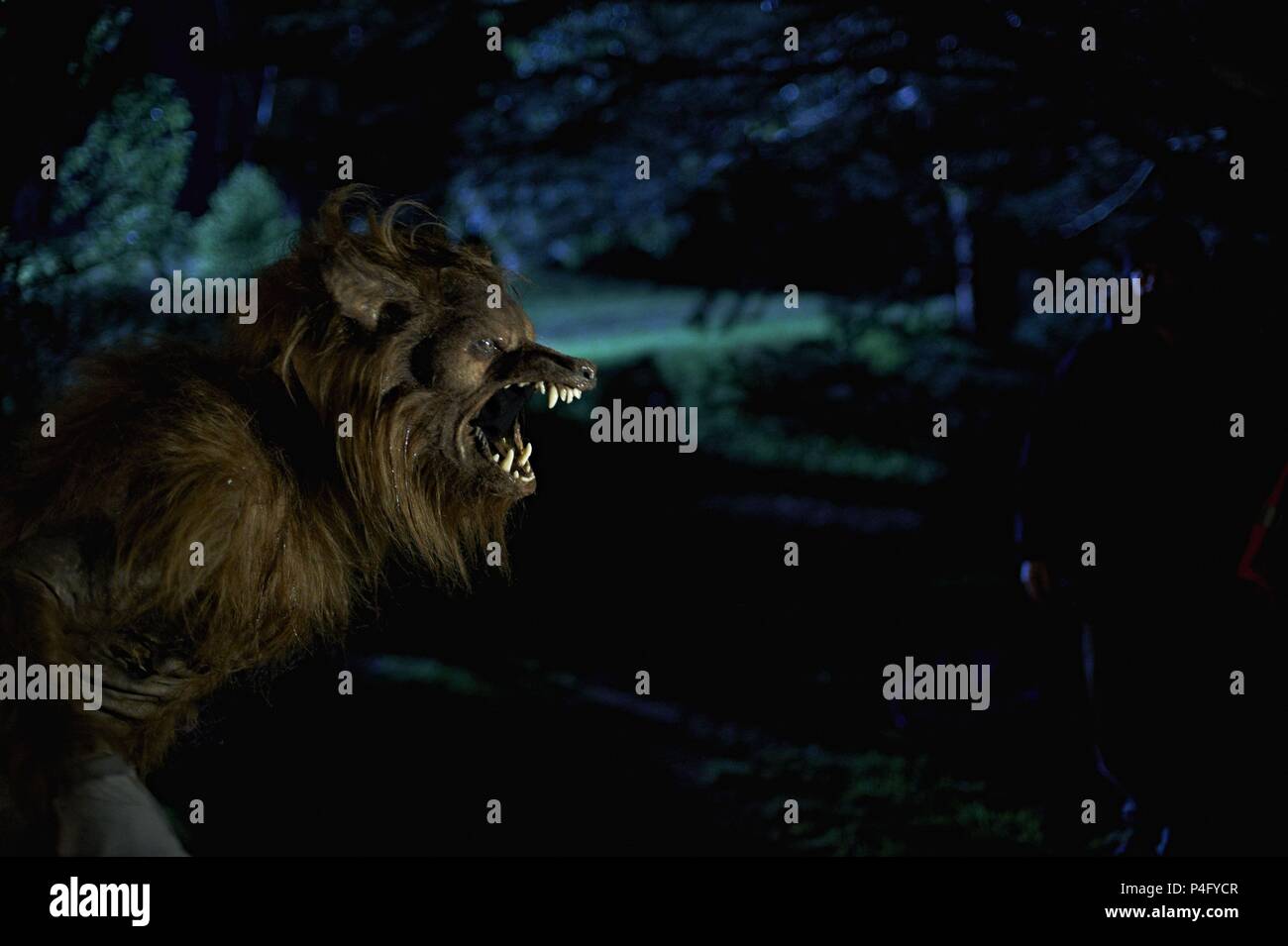 Original Film Title: WHAT WE DO IN THE SHADOWS. English Title: WHAT WE ...