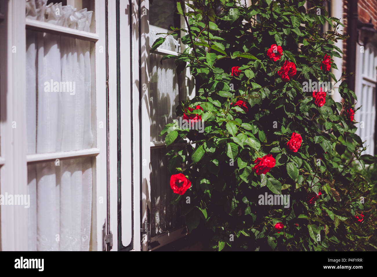 Red window frames hi-res stock photography and images - Alamy