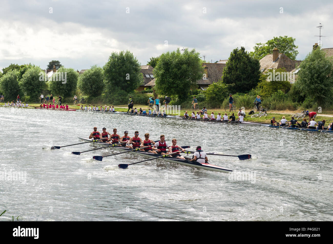 Mens boat crew on the river Cam taking part in The Bumps row boat ...
