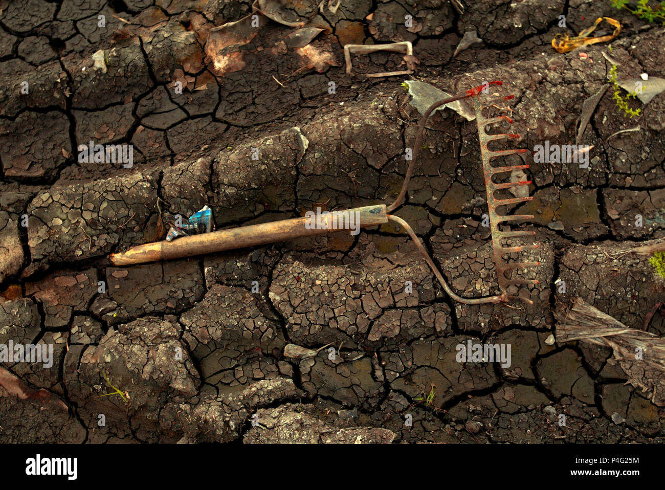 Gone to earth hi-res stock photography and images - Alamy