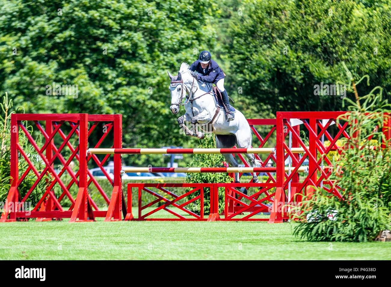 West Sussex, UK . 21st June, 2018. John Popely riding For Fun. GBR. The ...