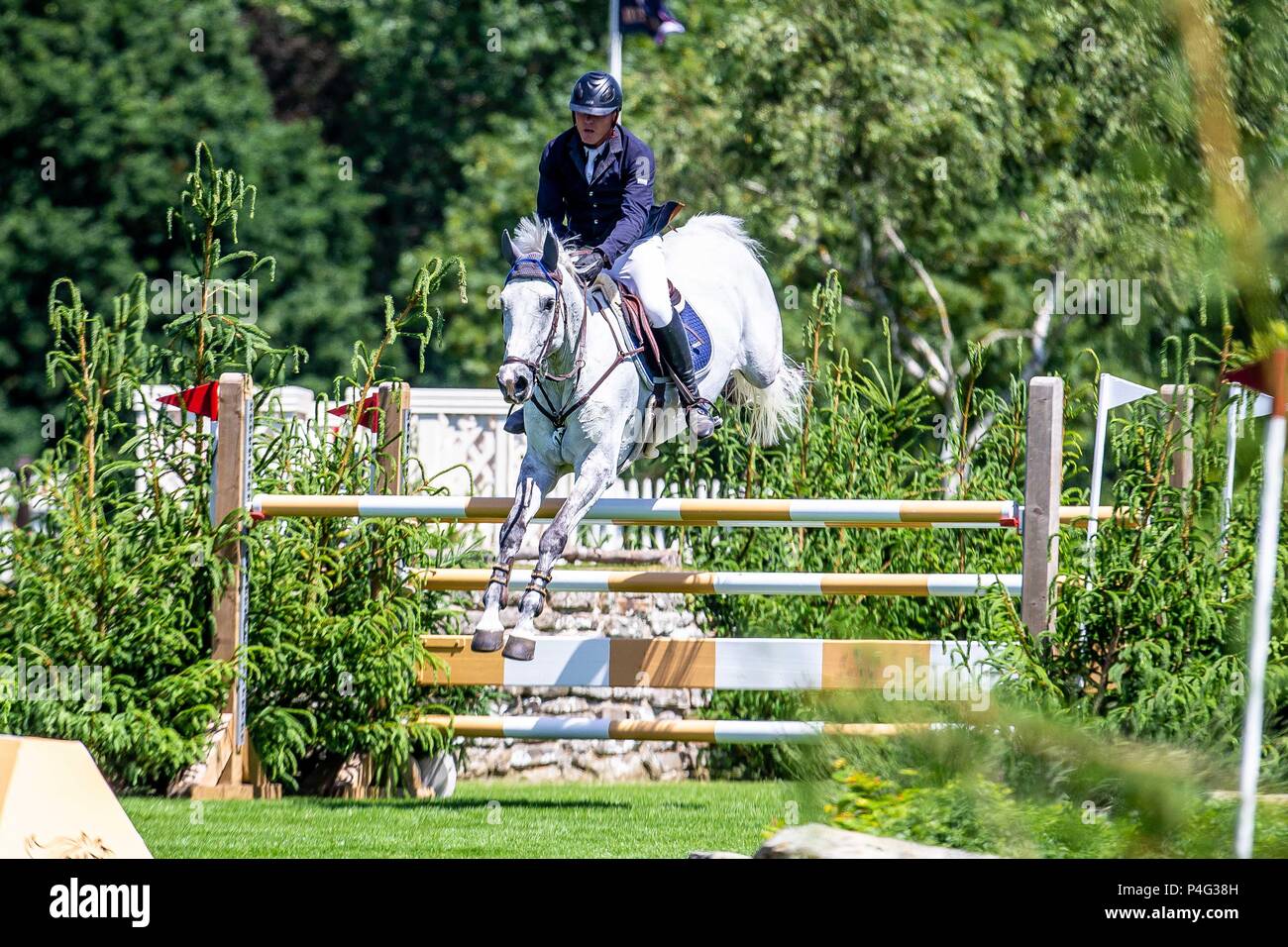 West Sussex, UK . 21st June, 2018. John Popely riding For Fun. GBR. The ...