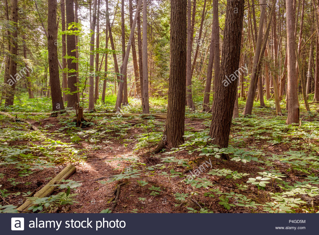 Altona High Resolution Stock Photography and Images - Alamy