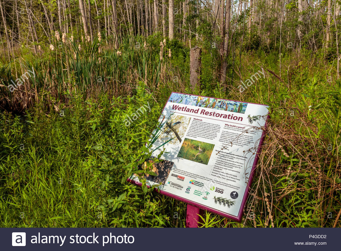 Interpretive Sign Stock Photos & Interpretive Sign Stock Images - Alamy