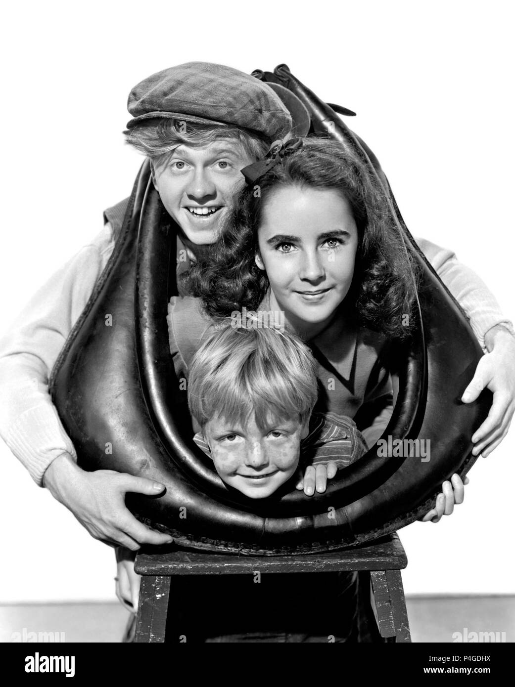 Original Film Title: NATIONAL VELVET. English Title: NATIONAL VELVET ...