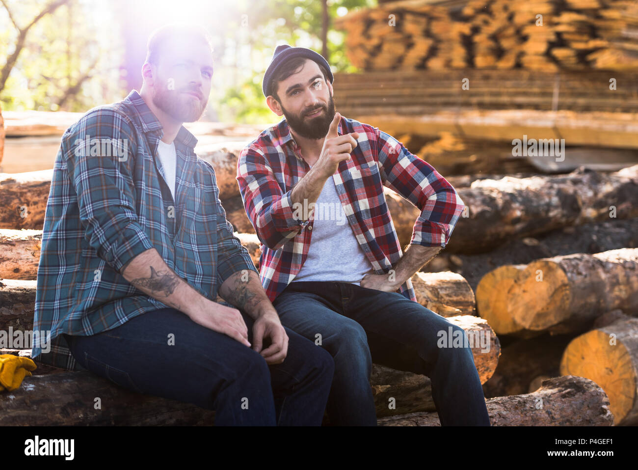 bearded lumberjack pointing by finger to sitting colleague at sawmill ...