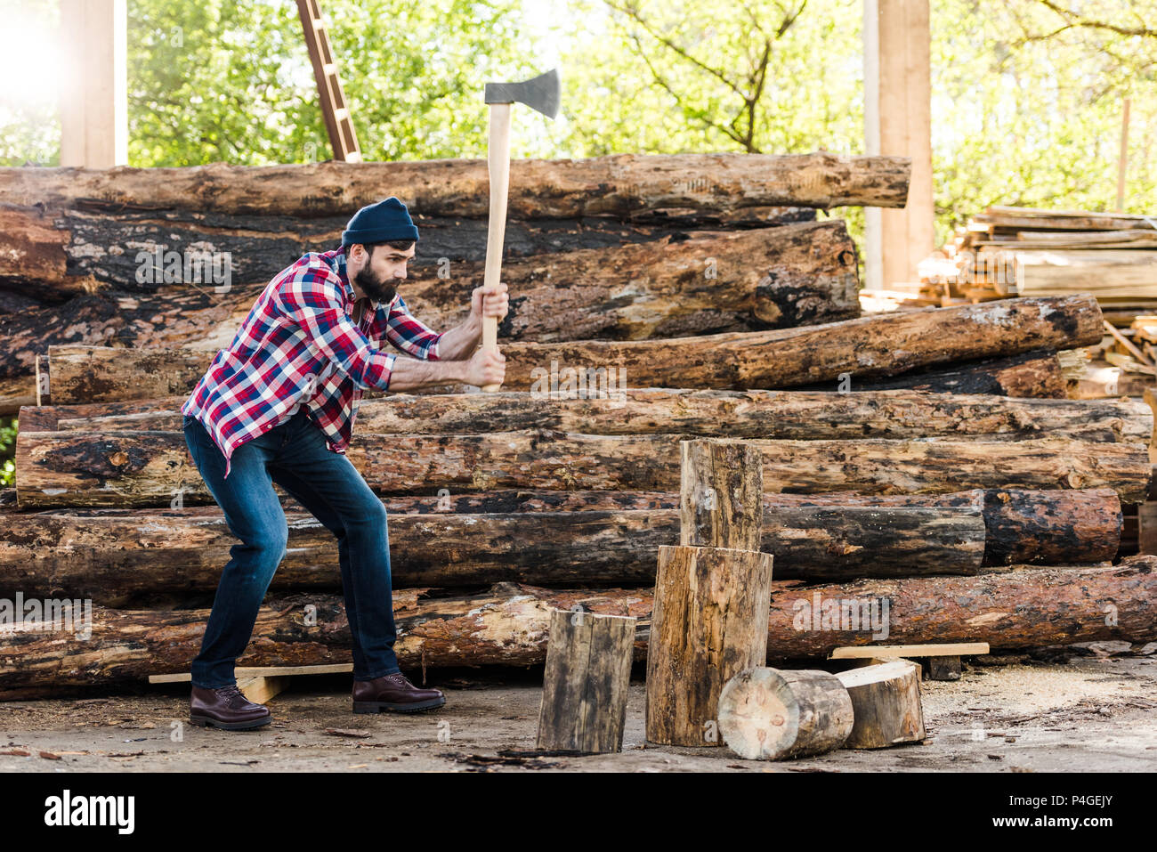 side view of bearded lumberjack in checkered shirt chopping log at ...