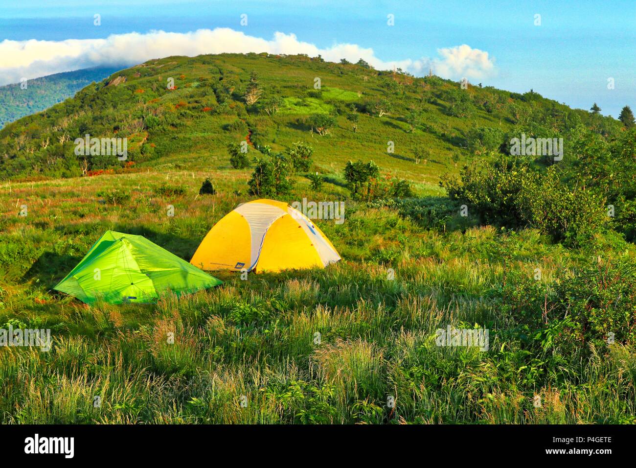 Landscapes of the Blue Ridge Mountains of North Carolina and Tennessee ...