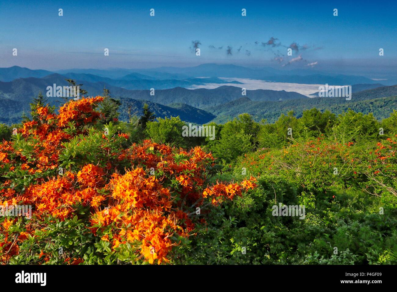 Landscapes of the Blue Ridge Mountains of North Carolina and Tennessee ...