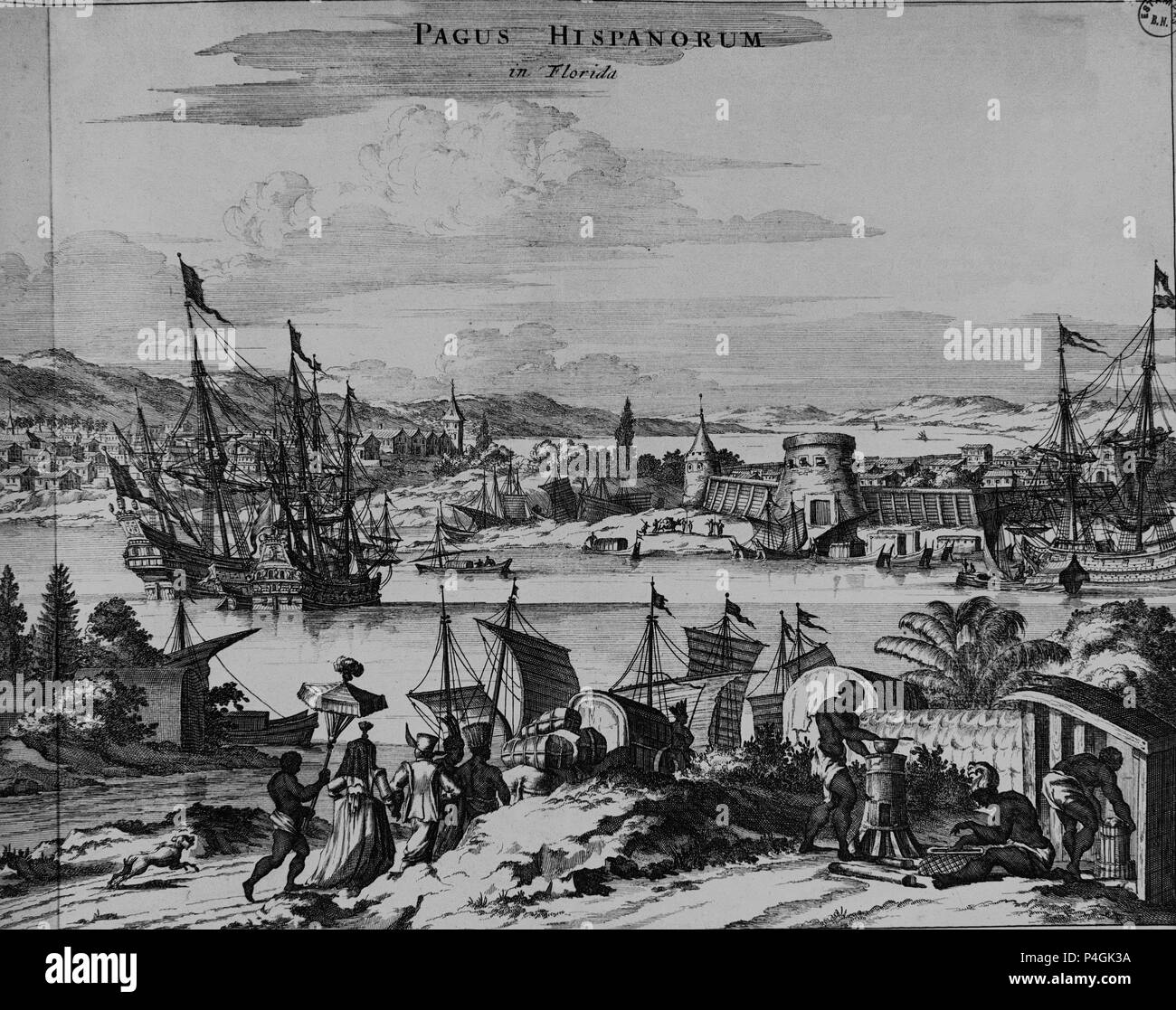 Pagus hi-res stock photography and images - Alamy