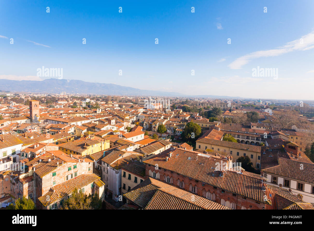 Lucca from Guinigi Tower. Italian landmark. Aerial view of Lucca Stock ...