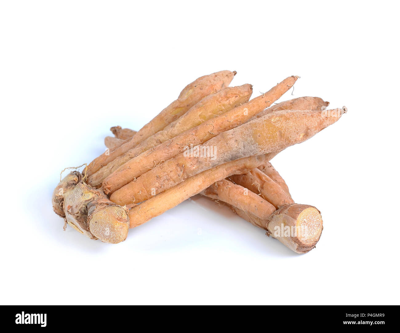 finger root Ingredients for Thai Cuisine isolate on white Stock Photo ...