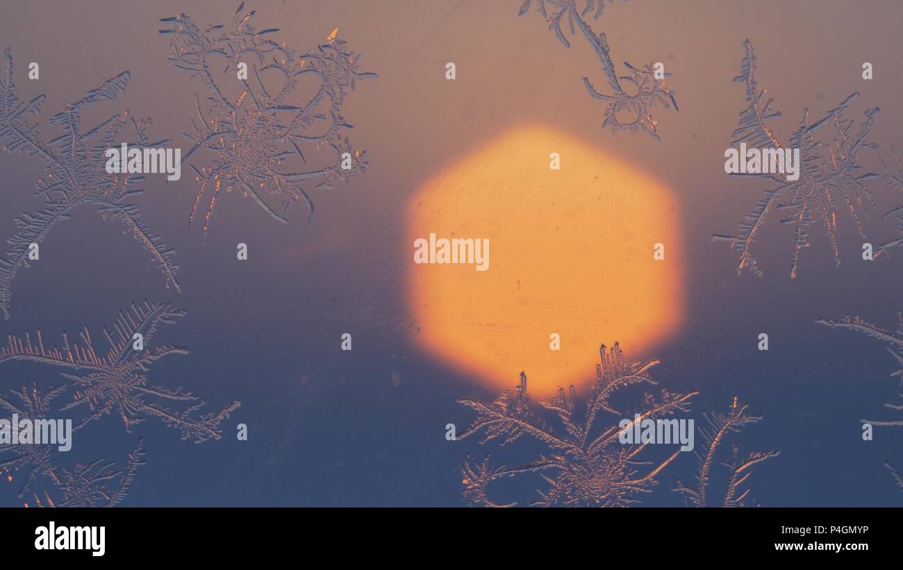 Snowflakes on the window in supermacro shooting. They are highlighted ...