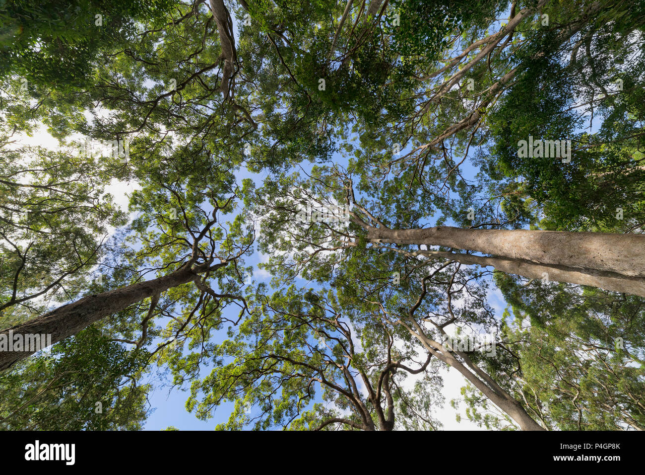 Looking up from below hi-res stock photography and images - Alamy