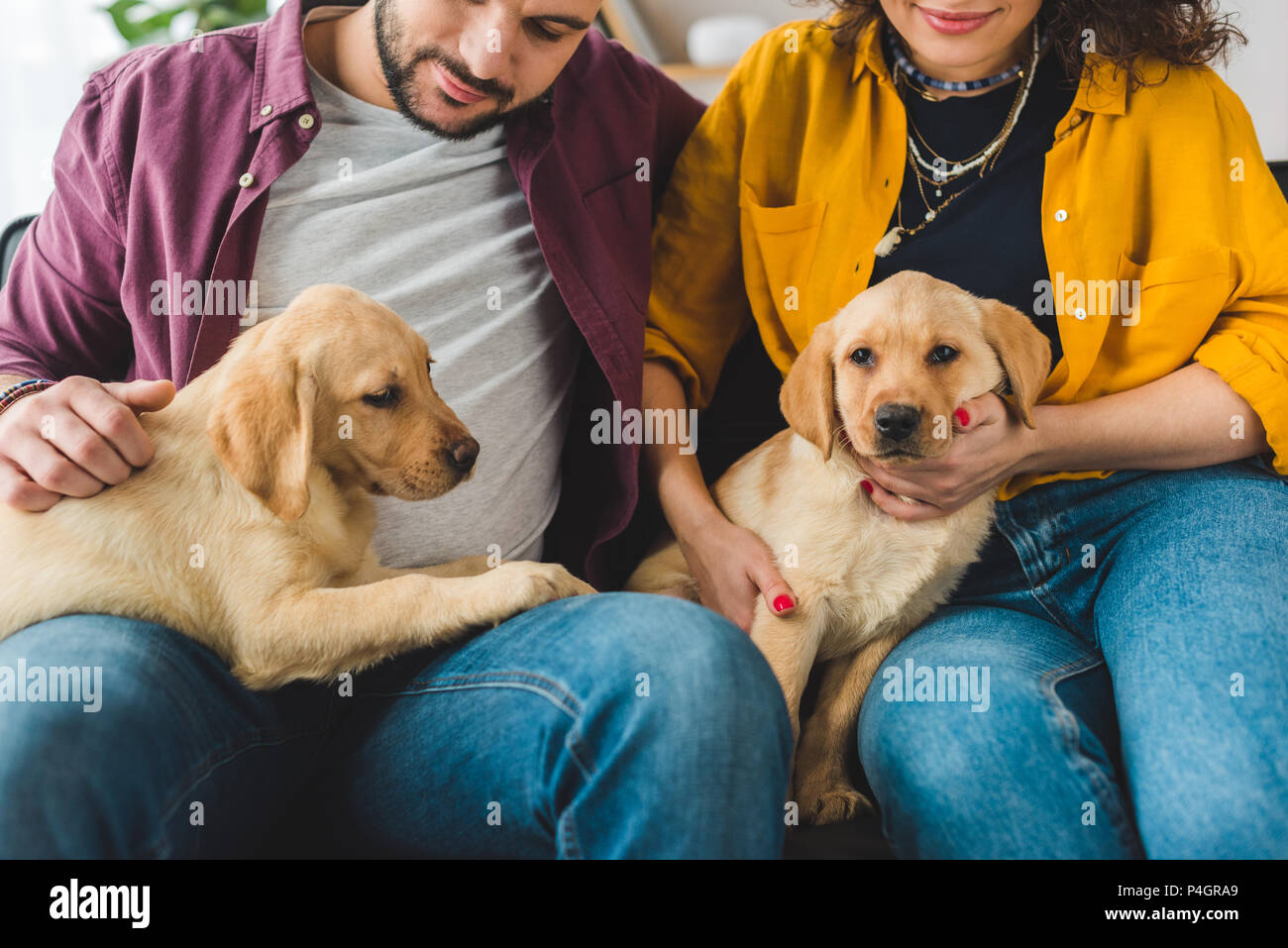Partial view of young couple holding two labrador puppies Stock Photo ...