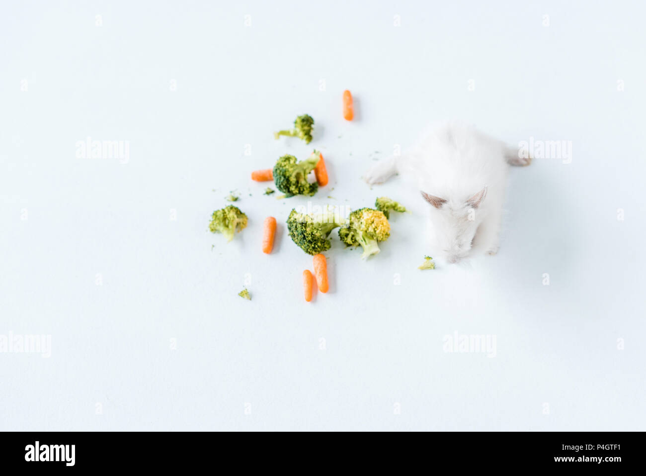 top view of fresh vegetables and cute furry rabbit on white Stock Photo ...