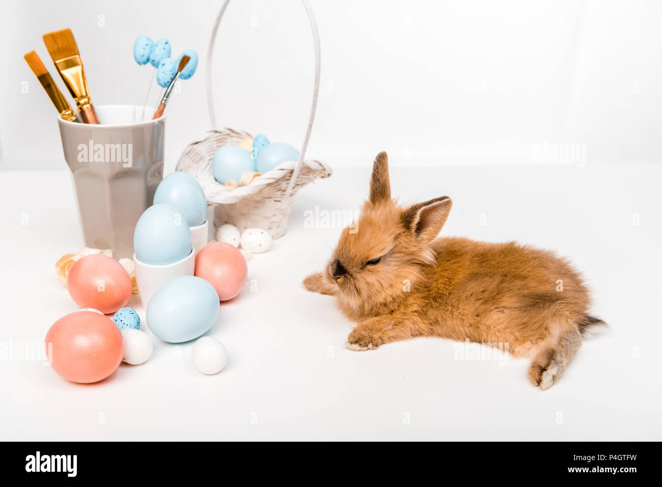 adorable furry rabbit and painted easter eggs on white Stock Photo - Alamy
