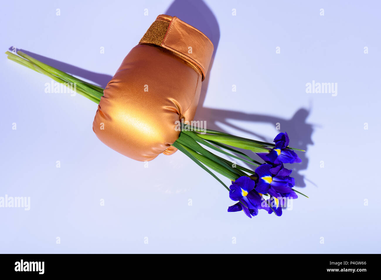 Boxing glove spring hi-res stock photography and images - Alamy