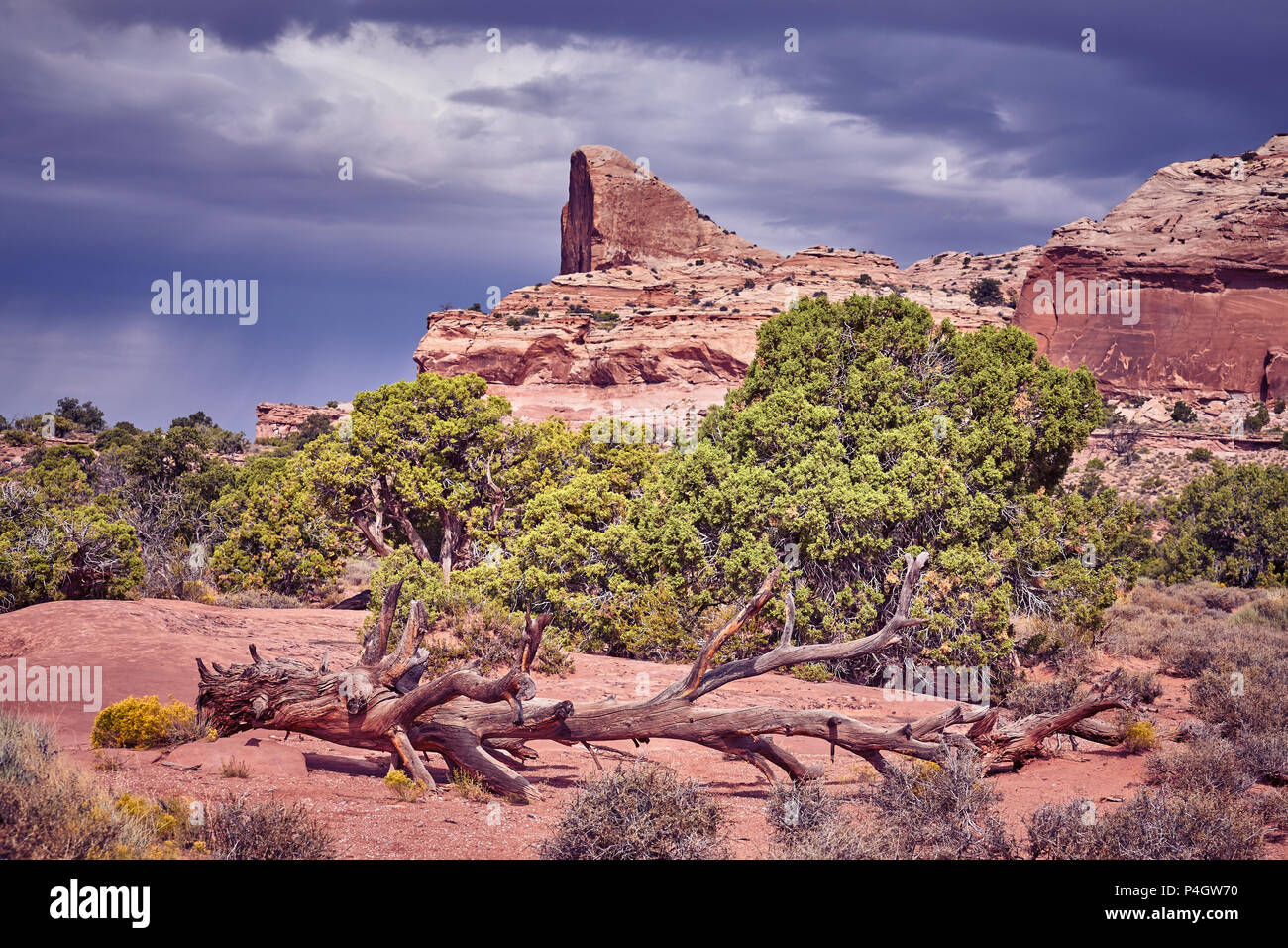 Canyonlands National Park, color toned picture, Island in the Sky ...