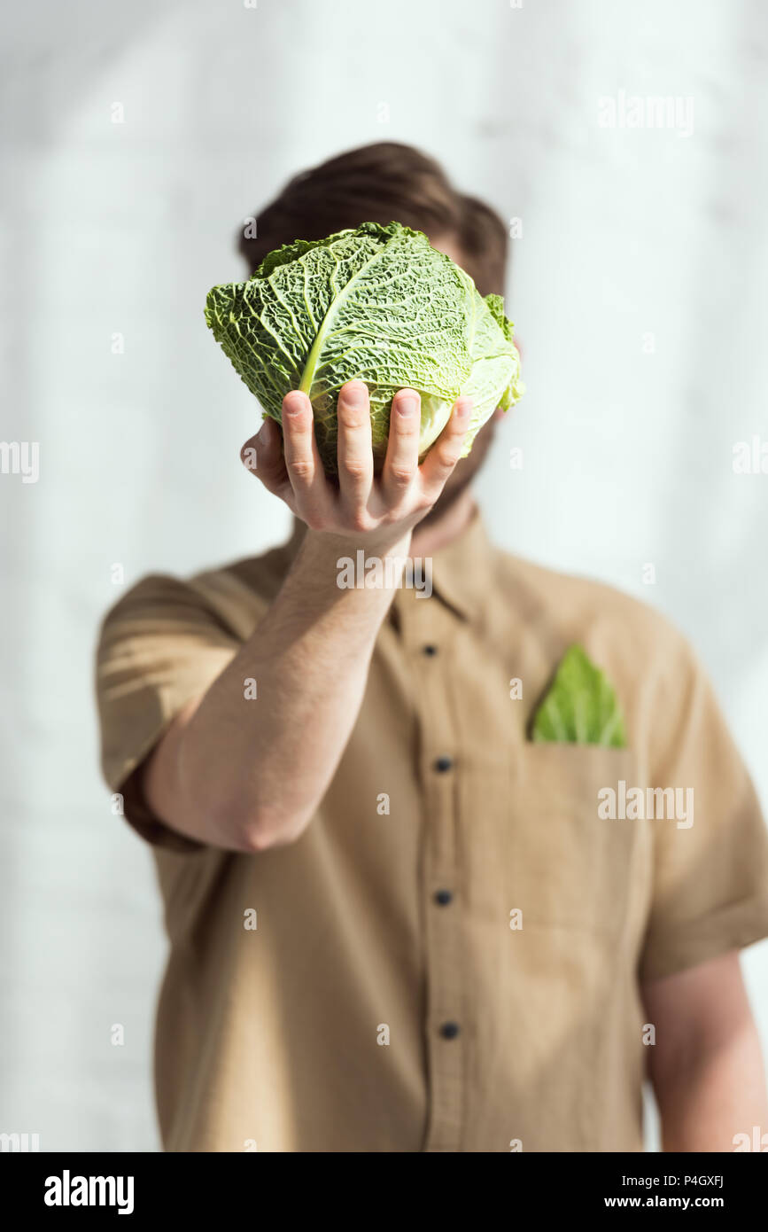 obscured view of man showing savoy cabbage in hand Stock Photo - Alamy