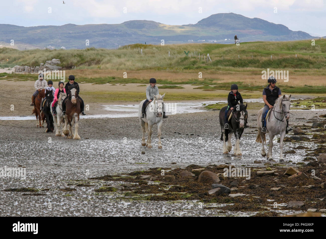 Seaside Horse Riding School High Resolution Stock Photography and ...