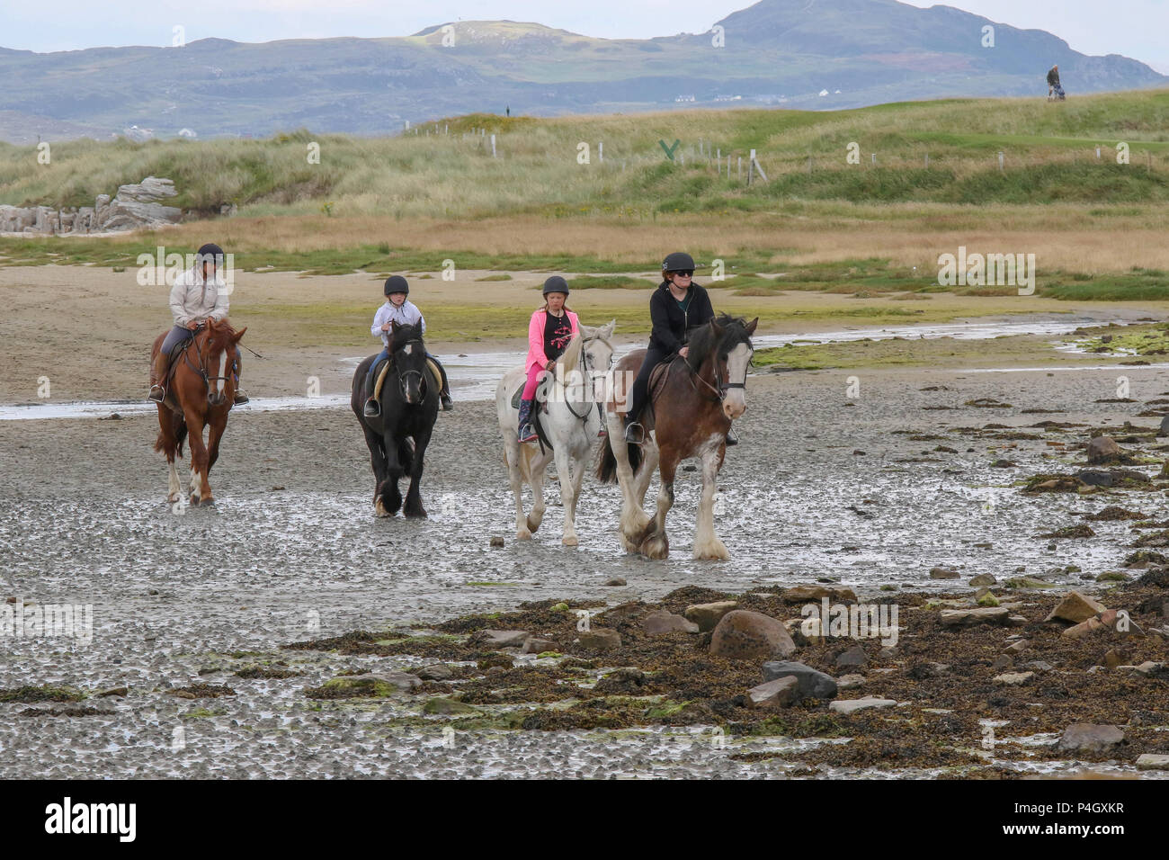 Dunfanaghy beach horse hi-res stock photography and images - Alamy