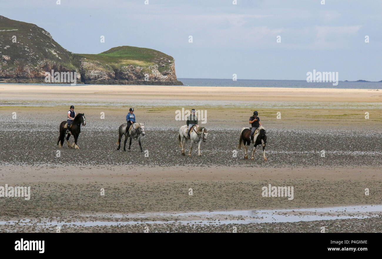 Ireland horses on the beach hi-res stock photography and images - Alamy