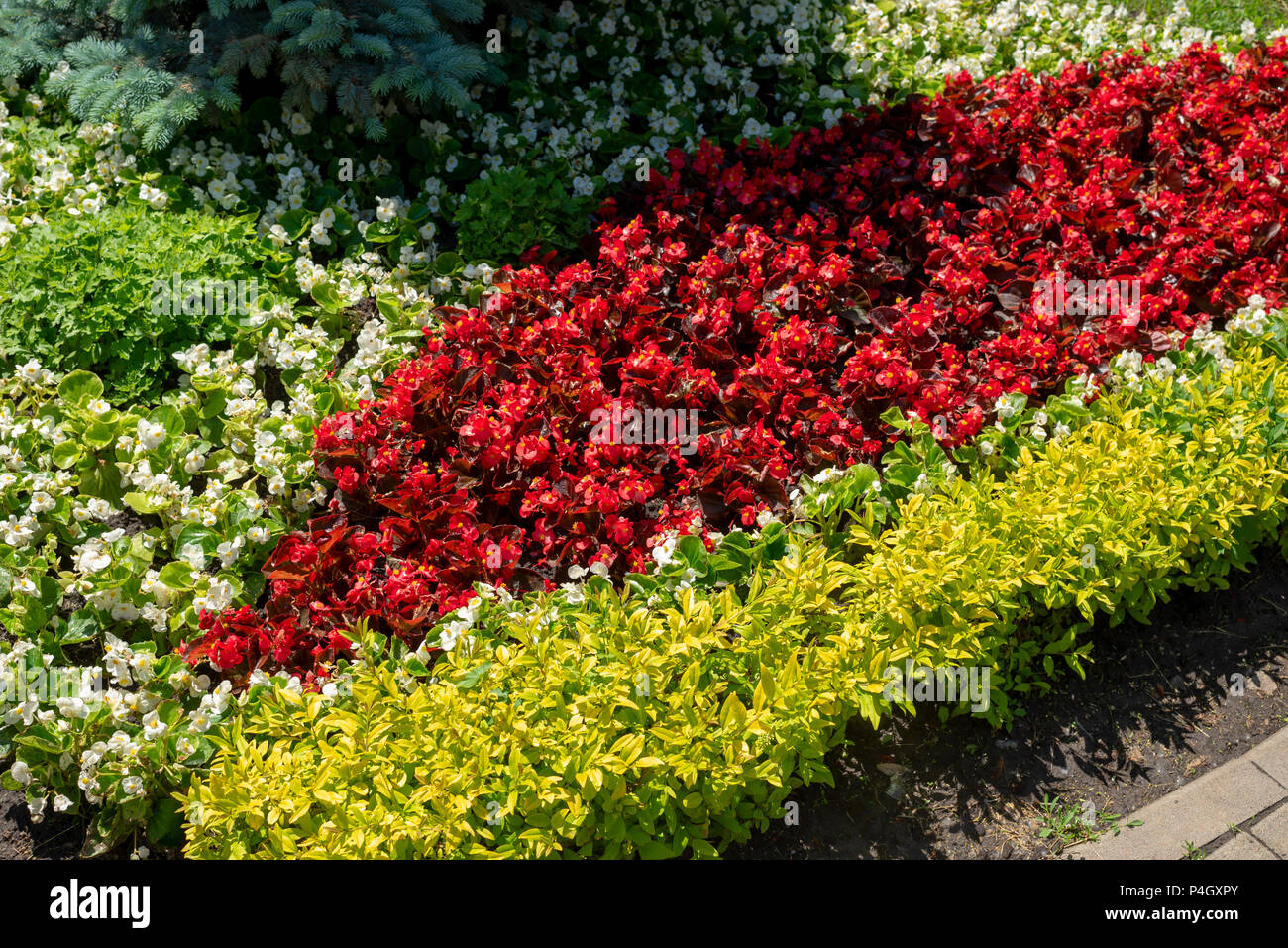 colorful flowers on the flowerbed, an element of the landscape park ...