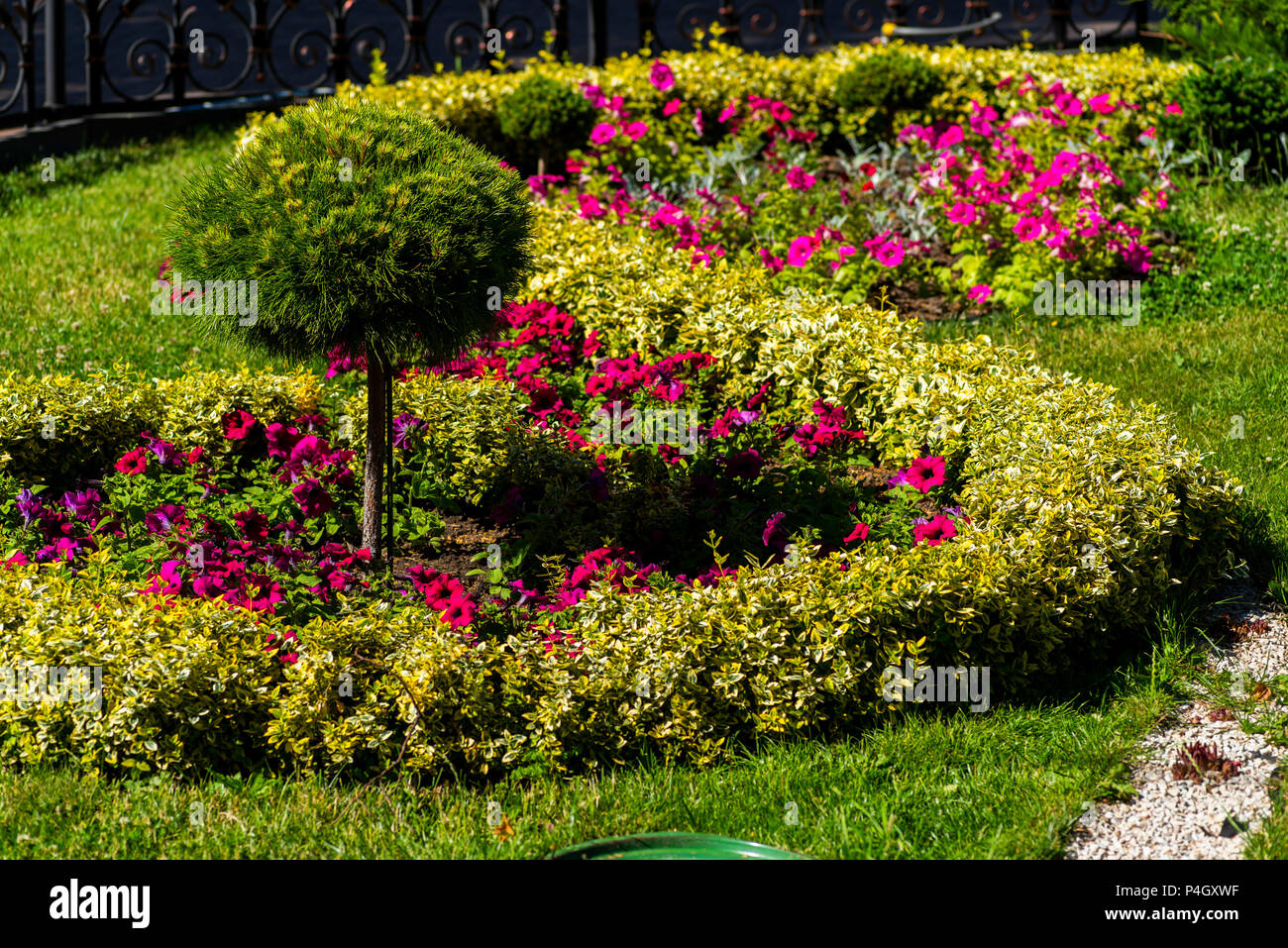 colorful flowers on the flowerbed, an element of the landscape park ...