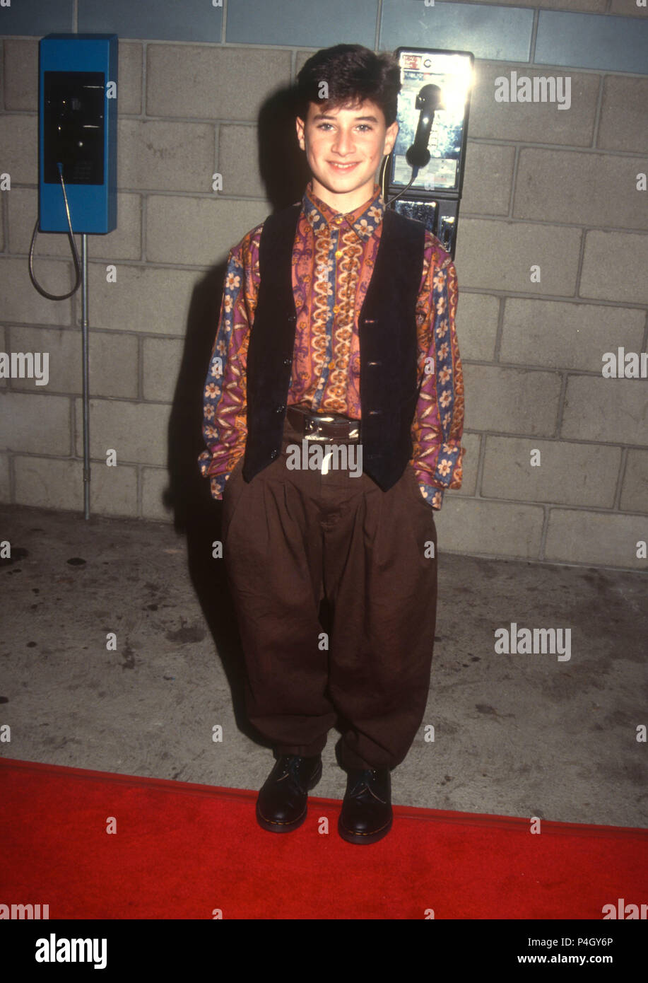 LOS ANGELES, CA - NOVEMBER 13: Actor Edan Gross attends 'And You Thought Your Parents Were Weird ...
